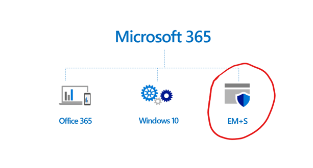 What is Microsoft EMS?